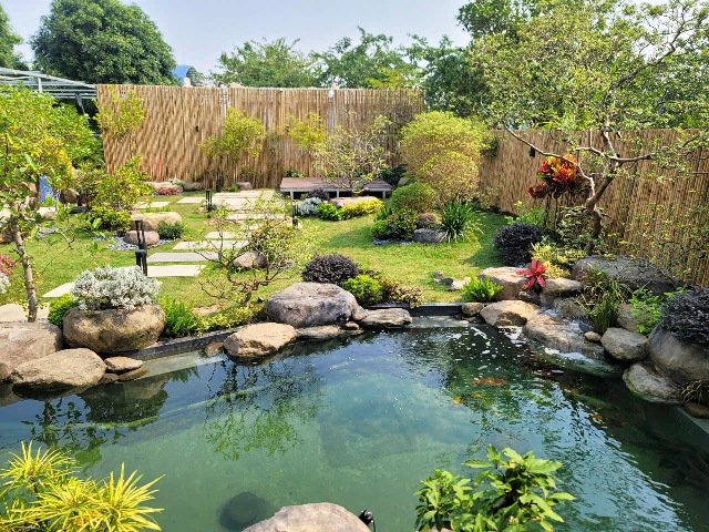 Thi công tiểu cảnh hồ cá Koi